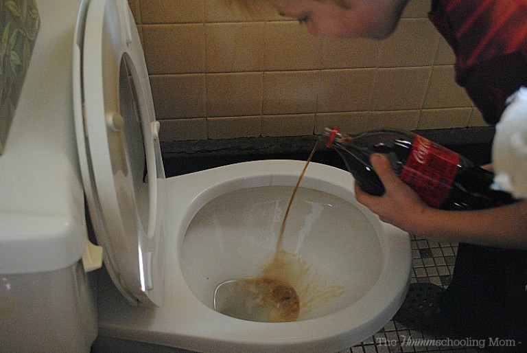 Will Coke Dissolve a Tooth? (and Other Coke Experiments) – The ...